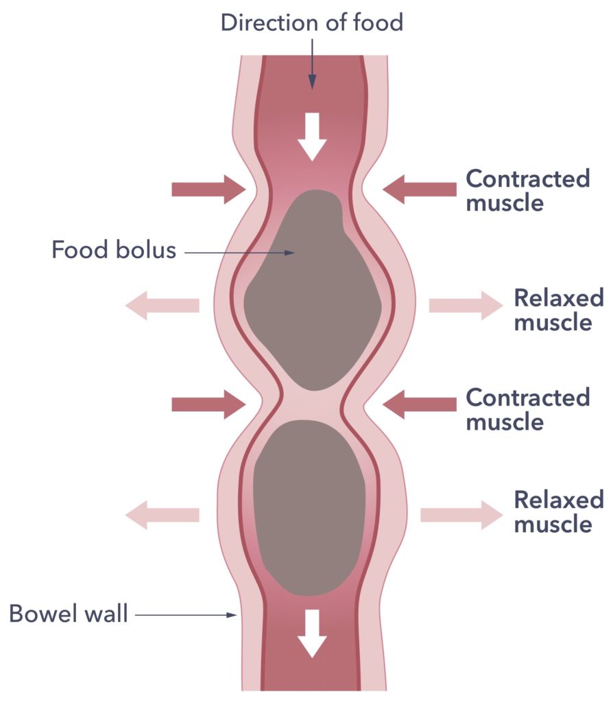 Irritable Bowel Syndrome | Causes, Symptoms & Treatment | Guts UK