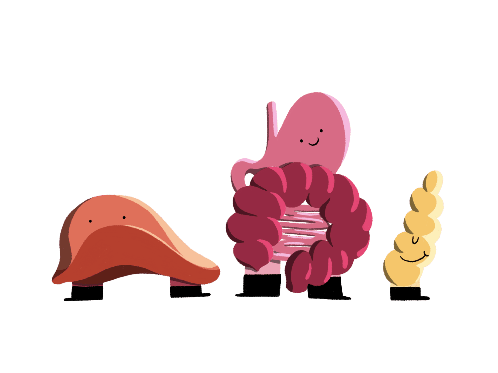 Helicobacter pylori - Guts UK