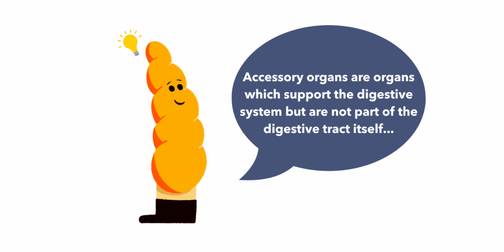 Get to grips with the digestive system! - Guts UK